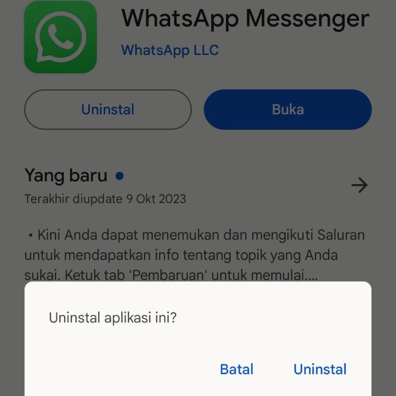 10+ Cara Melihat Pesan WA yang Sudah Dihapus